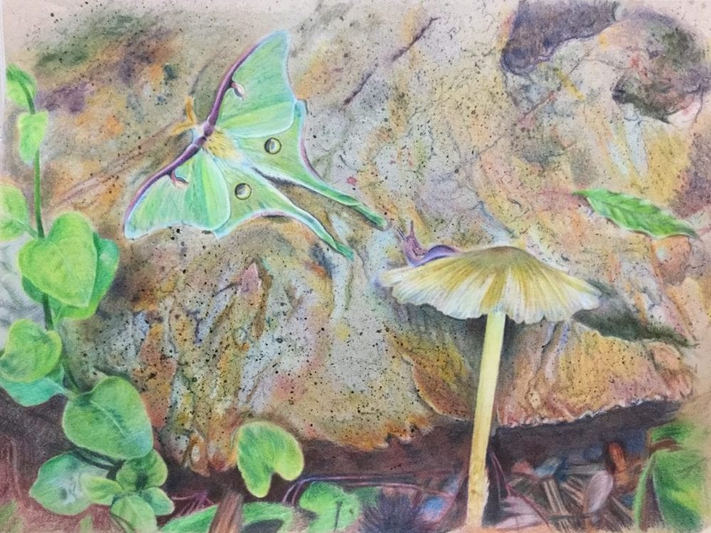 July 2018 Art Challenge | COLORED PENCIL Magazine